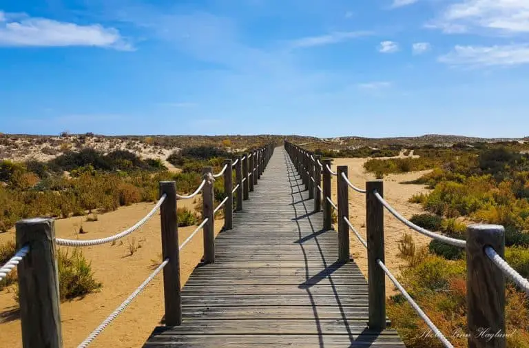 12 Things to do in Olhão: Algarve's most underrated city - Amused by ...