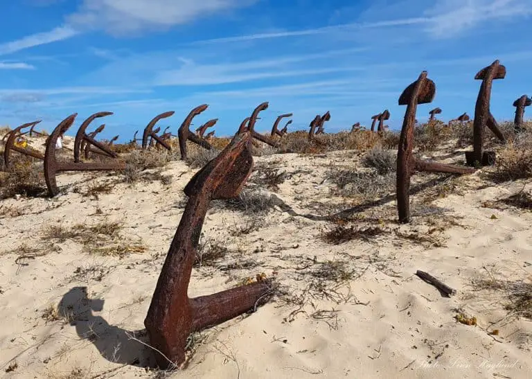 A complete guide to Tavira island, Portugal - Amused by Algarve