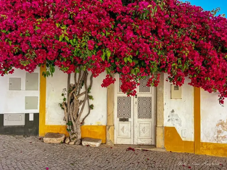 The Only One Day in Tavira Itinerary You'll Ever Need - Amused by Algarve